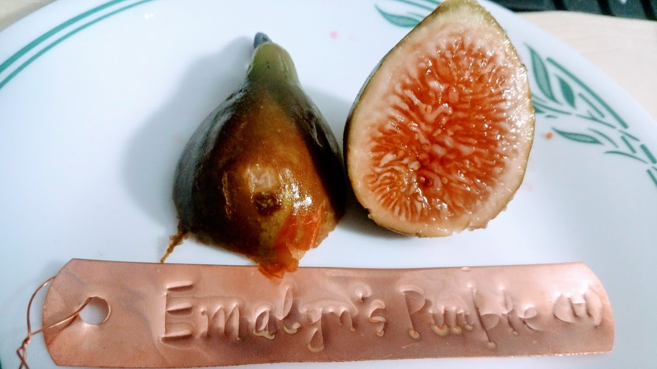 Emalyn's Purple 10 11 2018 — Postimages