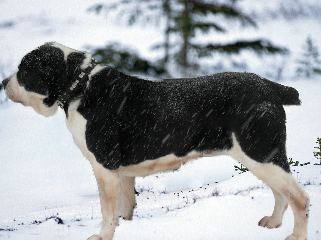 e yq7 Ph Ux YI — Postimages