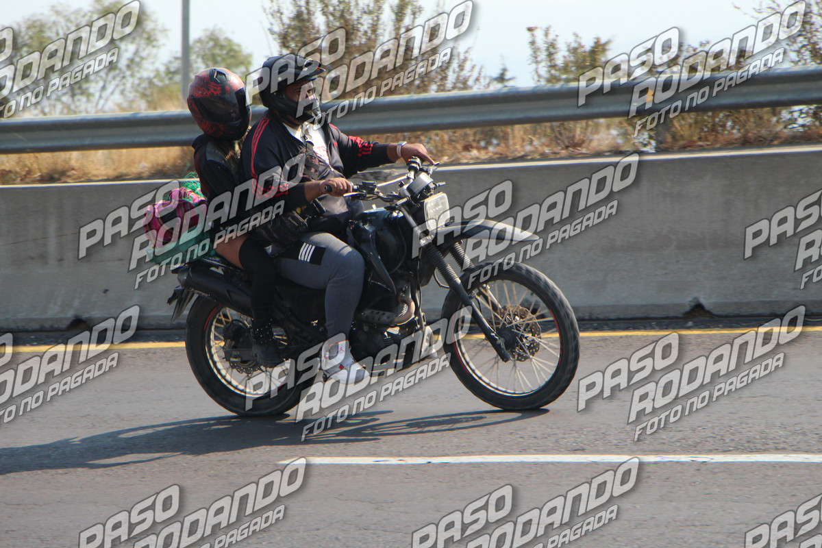 IMG 7181 wm 15660211 2 watermarked — Postimages