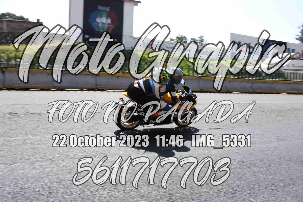 motgr IMG 5331 — Postimages