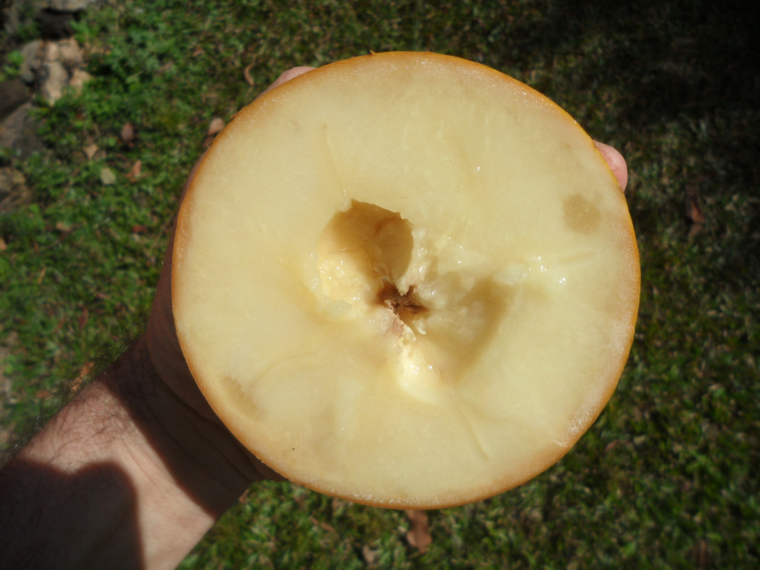 SAM 0962 — Postimages