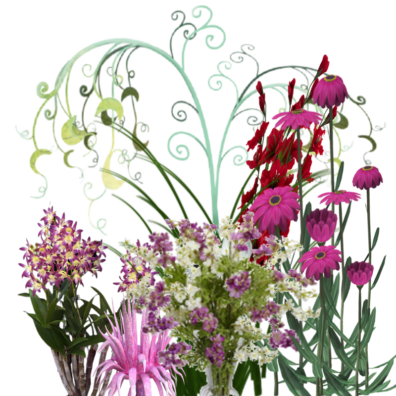 blank1kj — Postimages