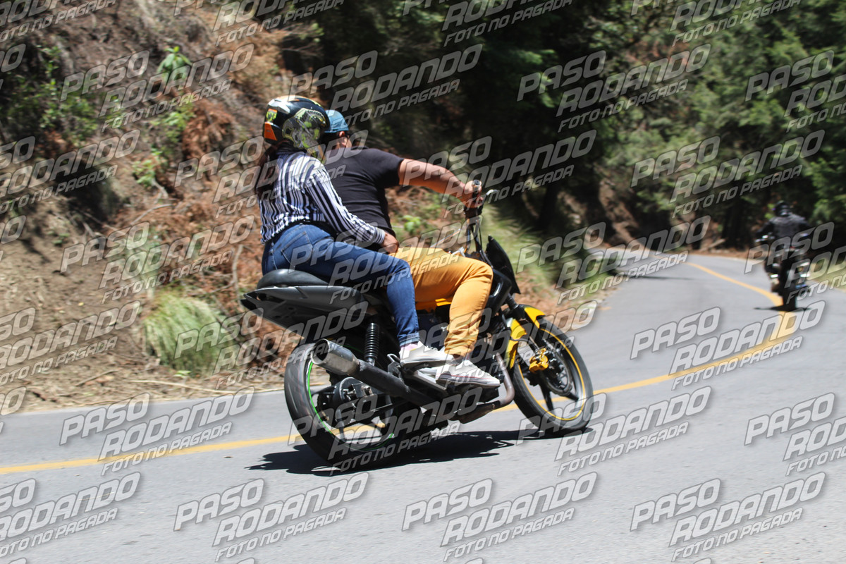 IMG 8771 wm 7242891 9 watermarked — Postimages