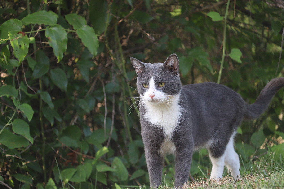 7 AA46 FE3 AD2 B 442 C 847 D A84 C01 EEB5 E5 — Postimages