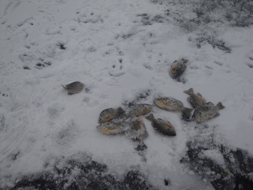 19 FISHING 002 — Postimages