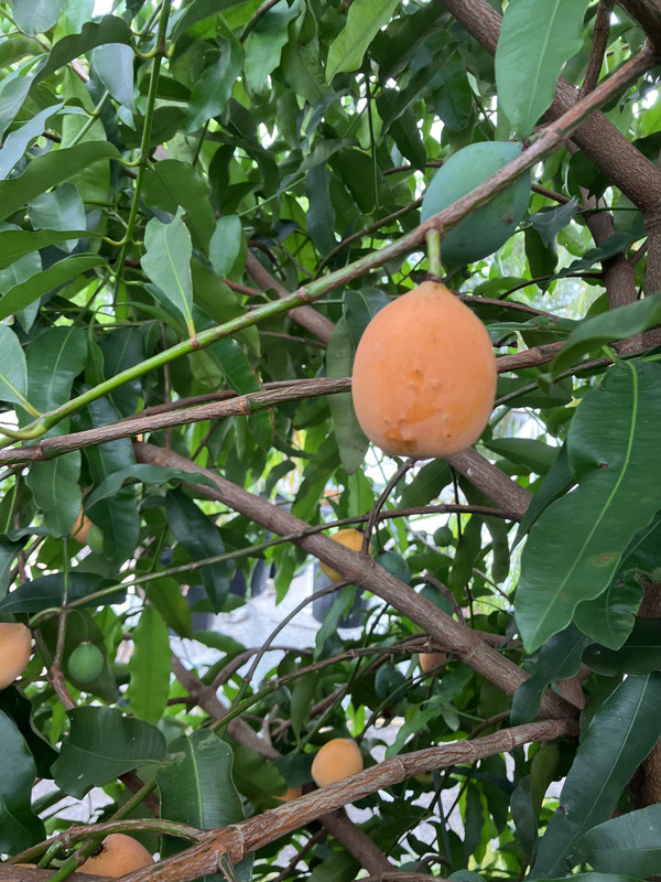 IMG 2785 — Postimages