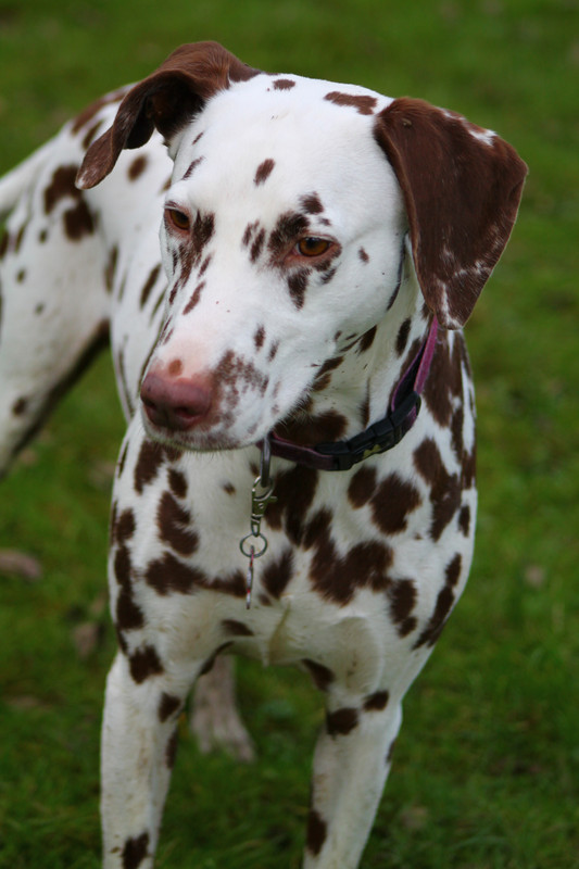 220225 (25) — Postimages