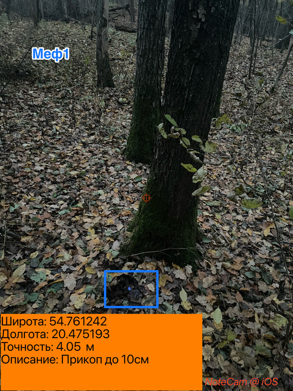 4554 DA2 D DBDF 440 A BB81 646 EC16 A5 D88 — Postimages