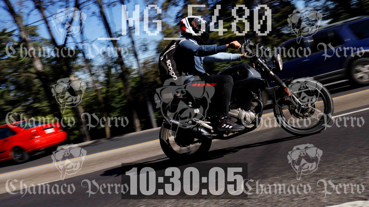 MUESTRA MG 5480 — Postimages