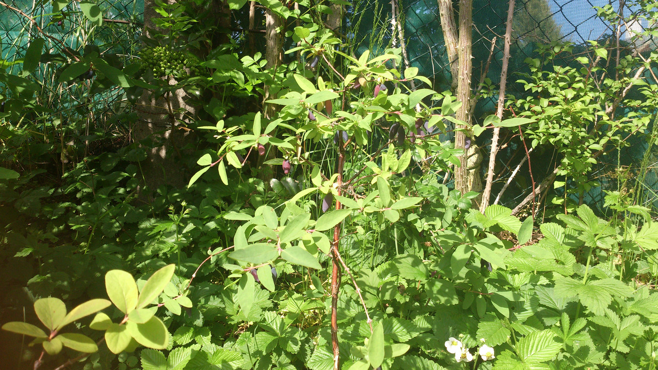 DSC 1156 — Postimages