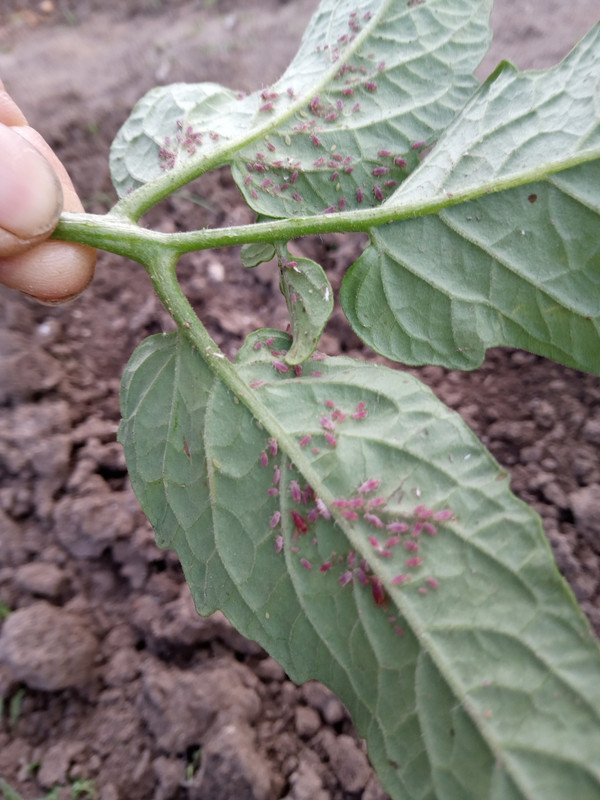 IMG 20230613 192042 149 — Postimages