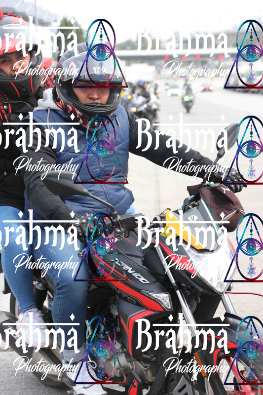 IMG 1811 — Postimages