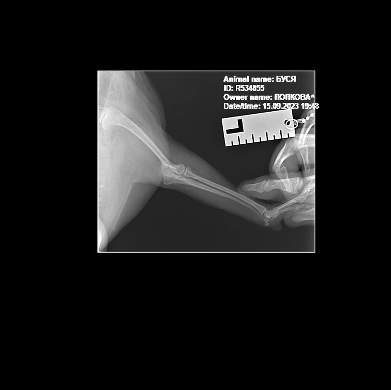 2 C103 C97 C76 E 4 A8 F 933 C 8 A138 E125 A54 — Postimages