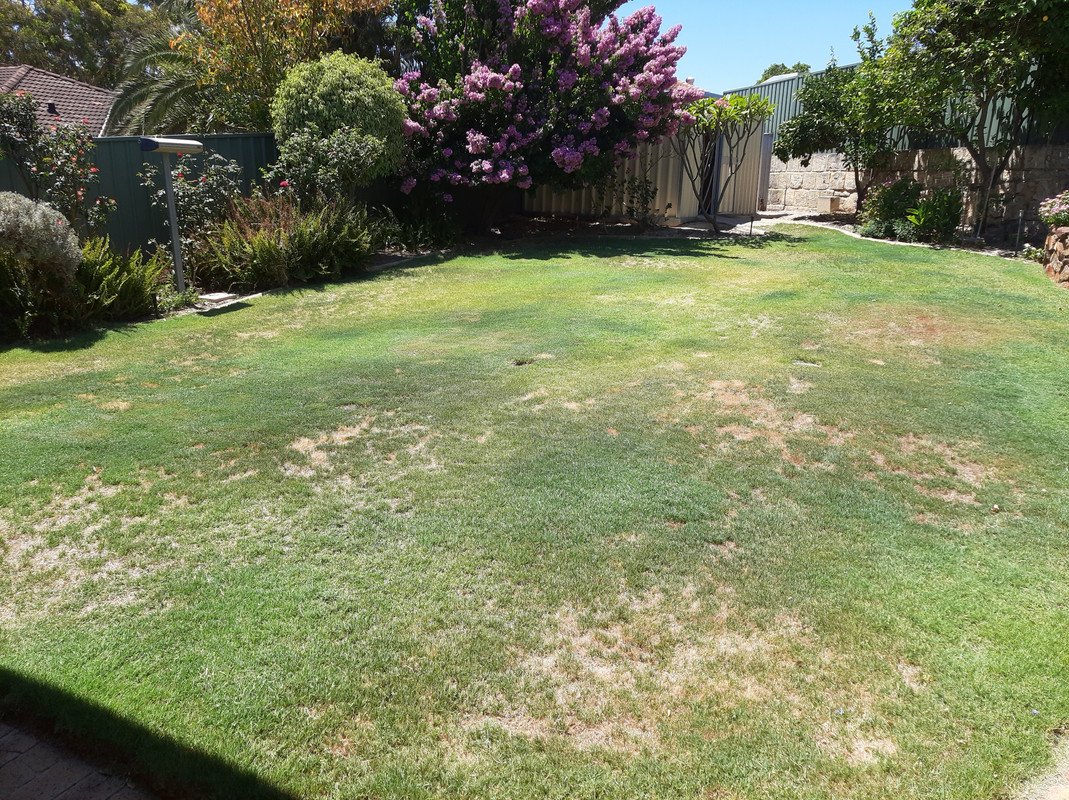 Lawn[1] — Postimages