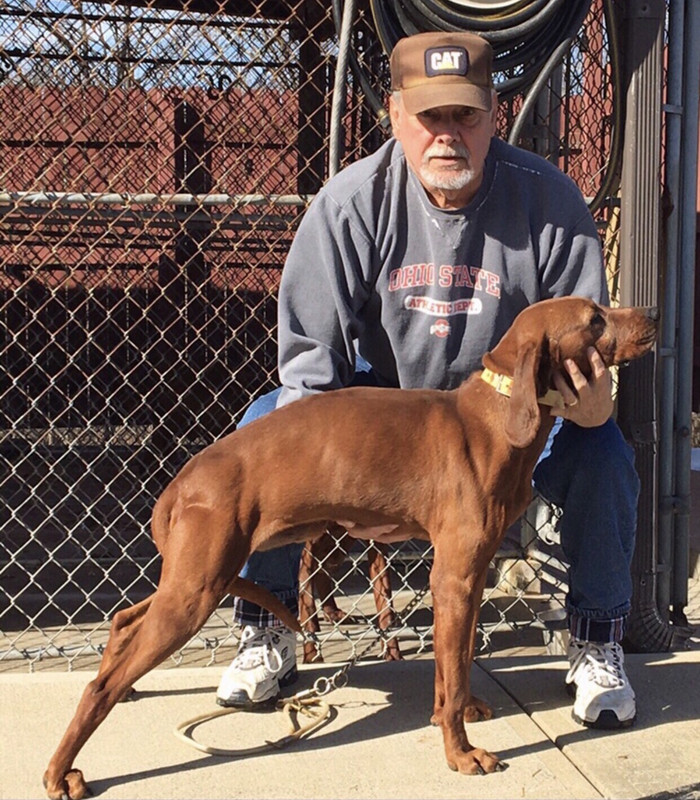 IMG E1219 — Postimages