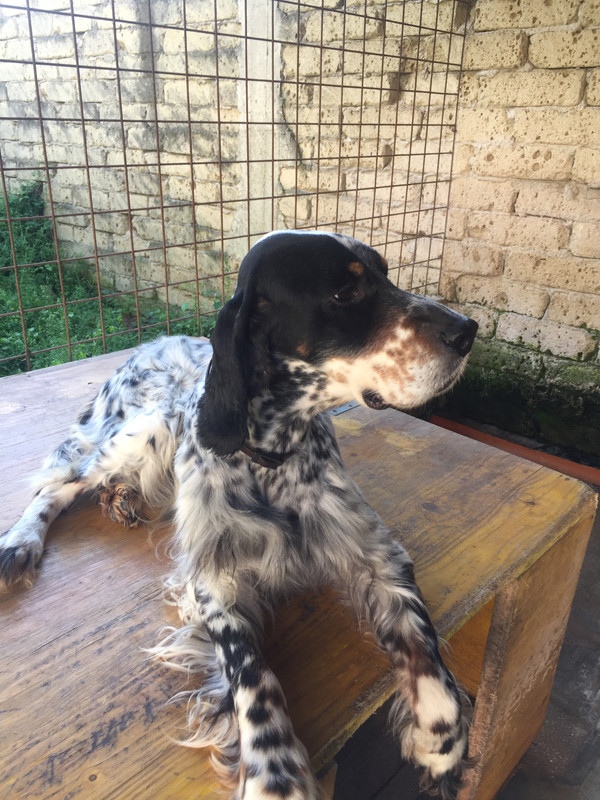 IMG 5599 — Postimages