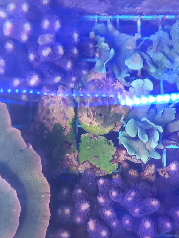 20221128 110811 — Postimages