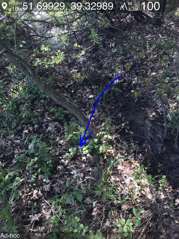 IMG 20230503 184214 974 — Postimages