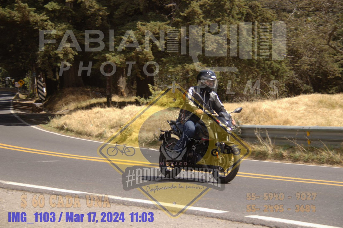 IMG 1103 — Postimages