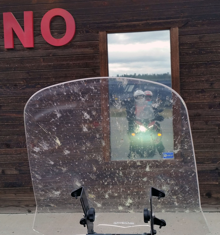 Bugs On The Shield — Postimages