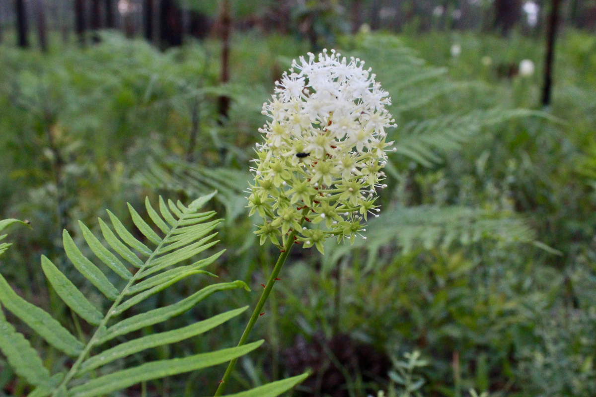 IMG 0320 — Postimages