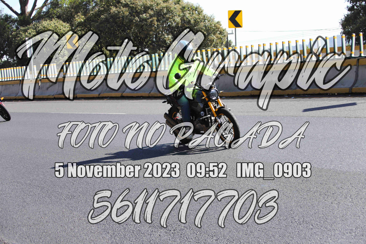 motgr IMG 0903 — Postimages