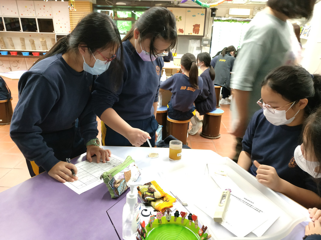 IMG 20221128 110010 — Postimages