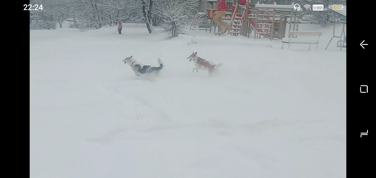 Screenshot 20231126 222421 — Postimages