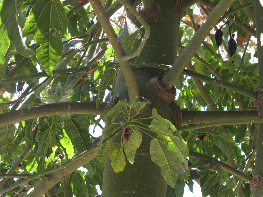 IMG 4767 — Postimages