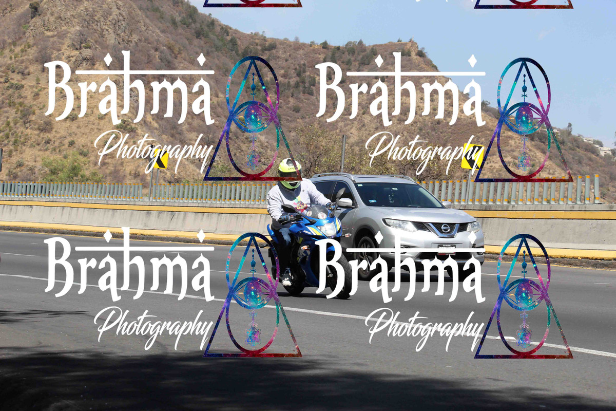 IMG 1529 — Postimages