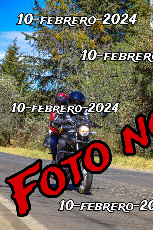 CR 1004 — Postimages