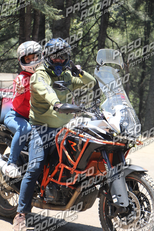 IMG 0045 wm 9164617 299999999 watermarked — Postimages