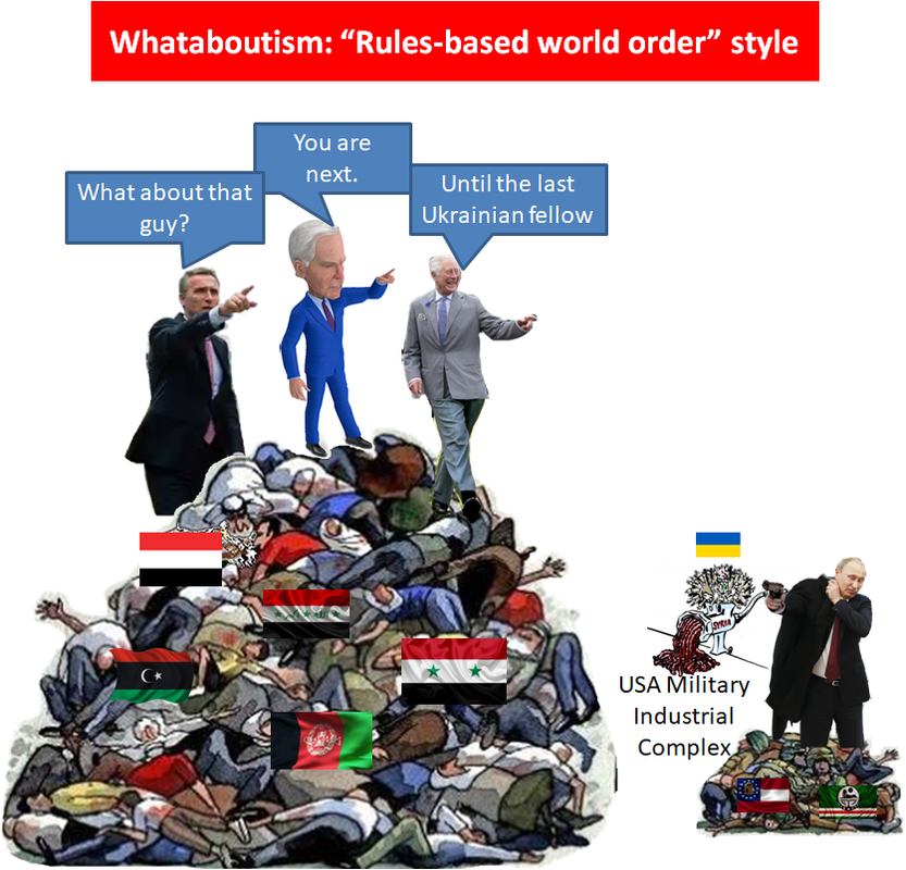 Russo-Ukrainian War - 2022 Edition - Part 5 | Page 406 | MyBroadband Forum