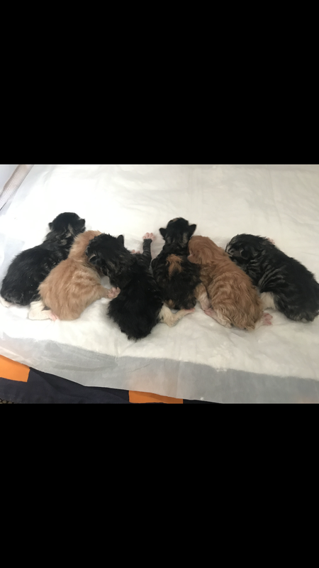 8 CEA36 E3 194 A 4771 8 BCE B6 D5 E5 EF326 F — Postimages