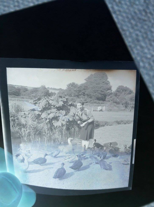 13235087 10156779736065408 8588869593556652123 o — Postimages