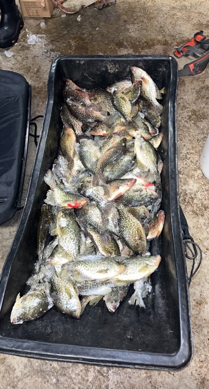 A2 A0 BA4 C B6 E1 4 DFA BC43 C4997 A7 EA036 — Postimages