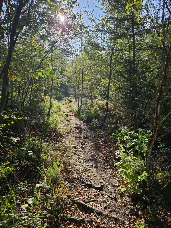 20240815 090702 — Postimages