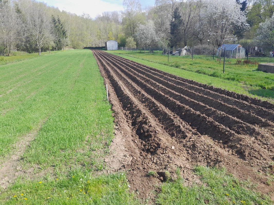 20230501 155641 — Postimages