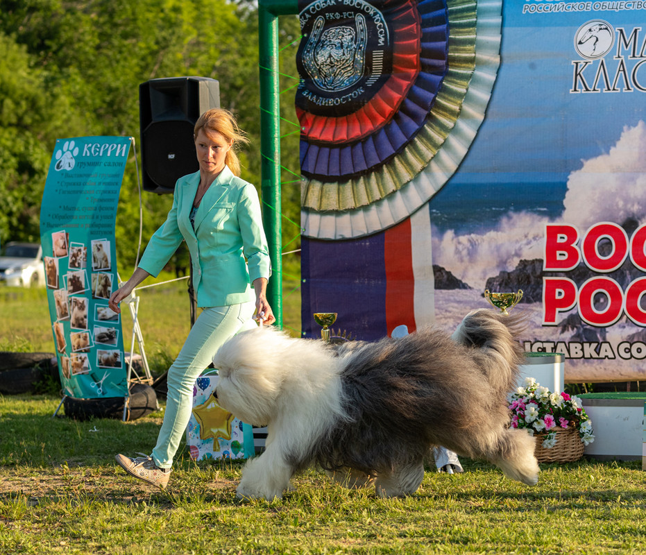 ВР 2507 — Postimages