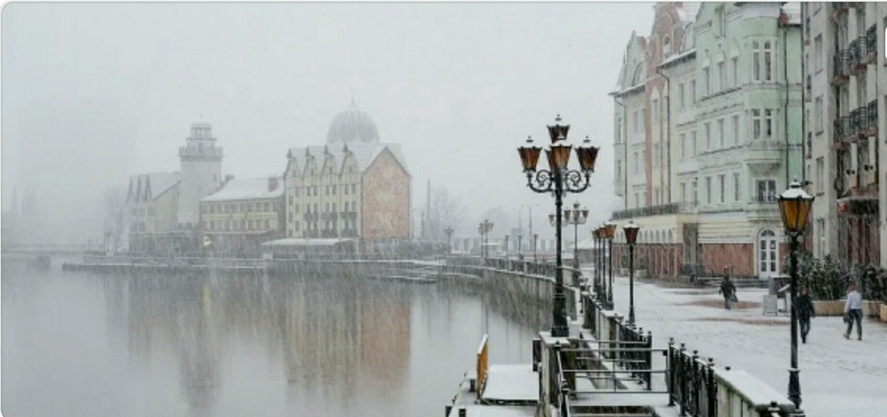 20231207 112429 — Postimages