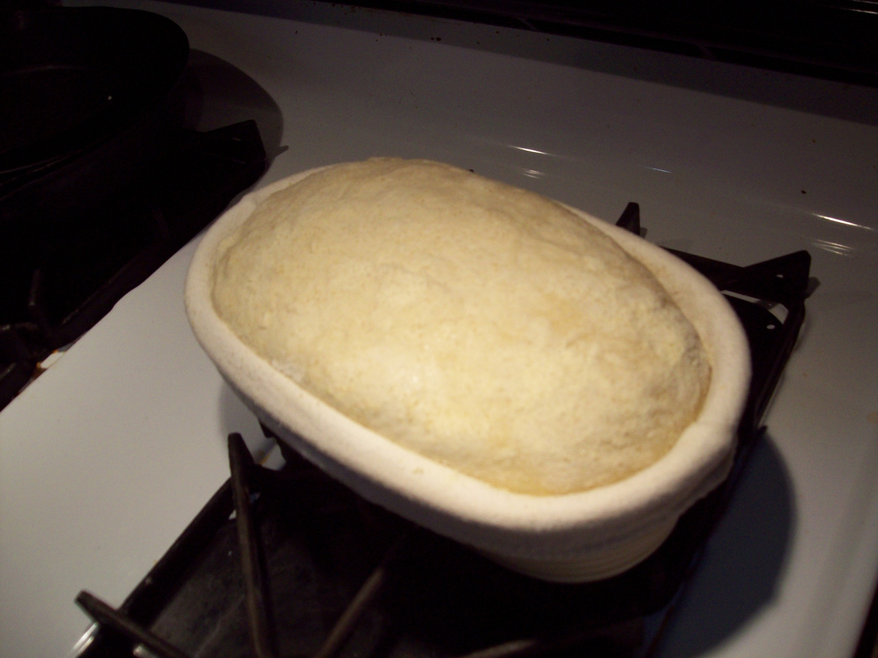 The Garden Thread - December, 2025