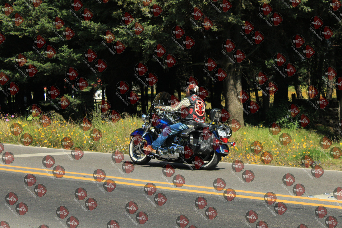 1699217613228 — Postimages