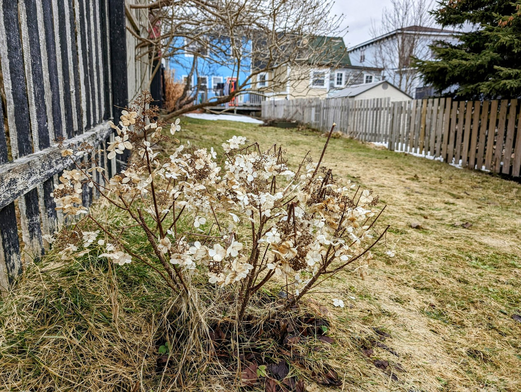 PXL 20240331 111209587 ACTION PAN 2 — Postimages