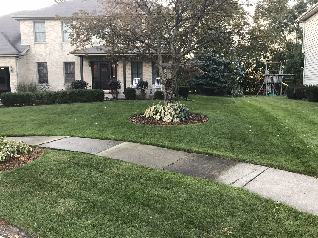 Front yard 3 after liquid iron 10 2018 — Postimages