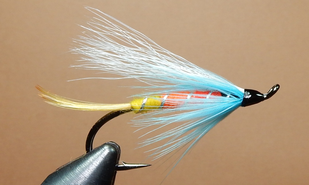 White Wing - Fly Tying - Maine Fly Fish