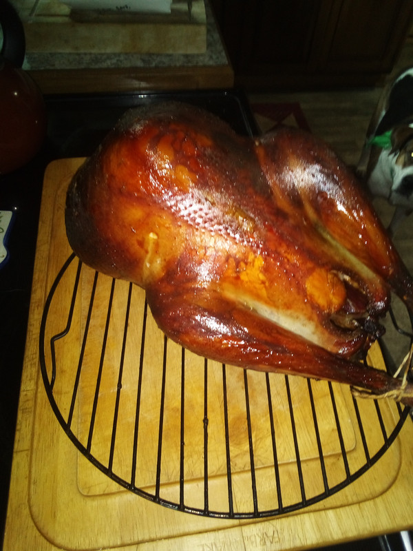 IMG 20211224 131008 — Postimages