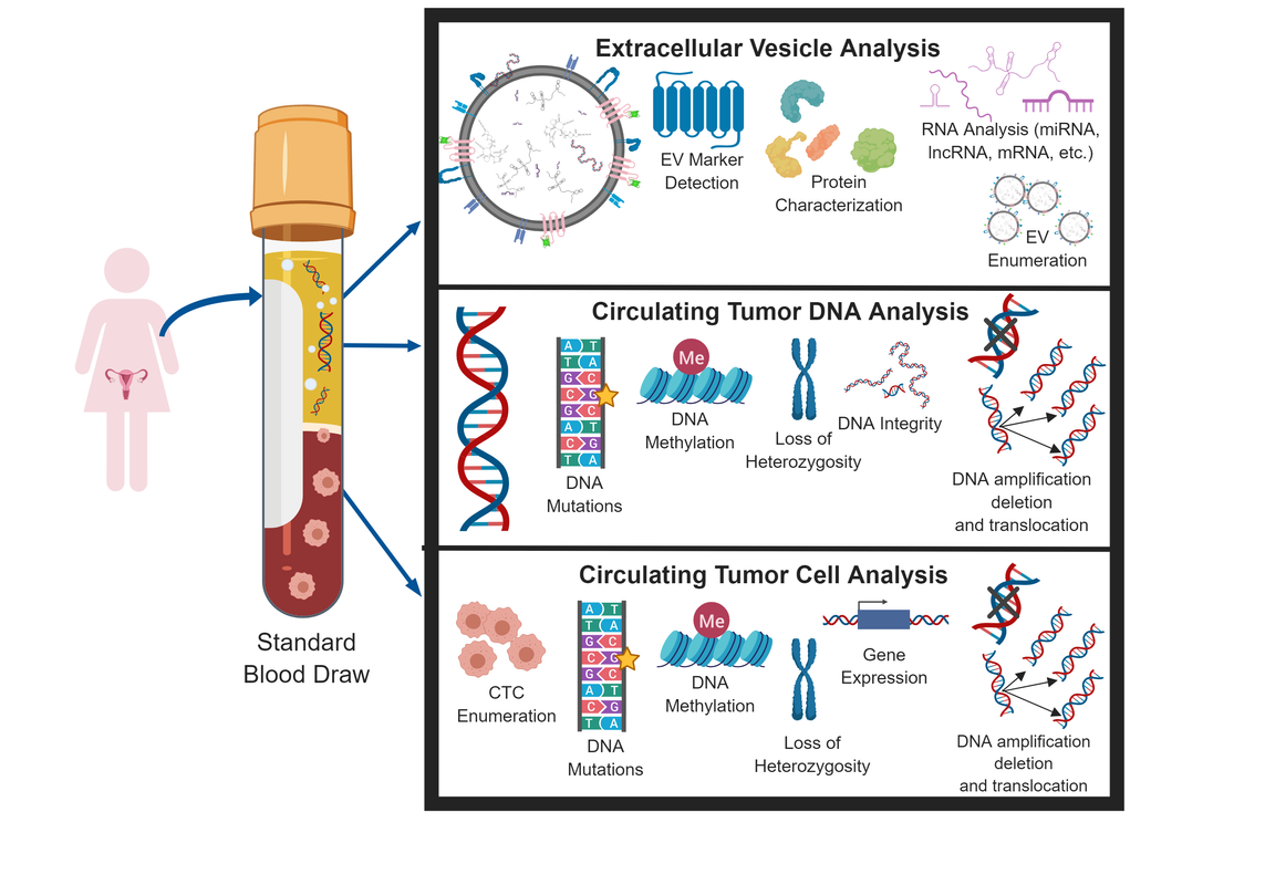 Biorender - what is the value proposition? : r/labrats
