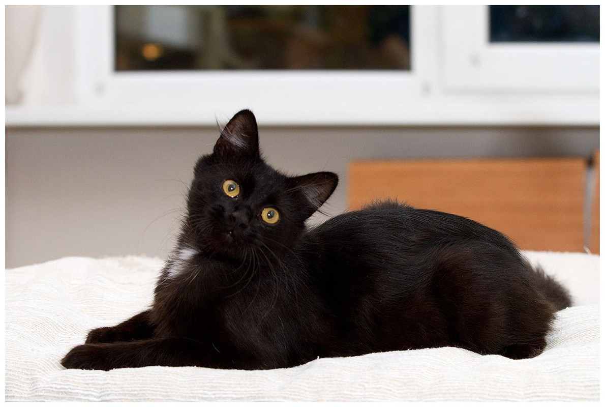 IMG 2151 — Postimages