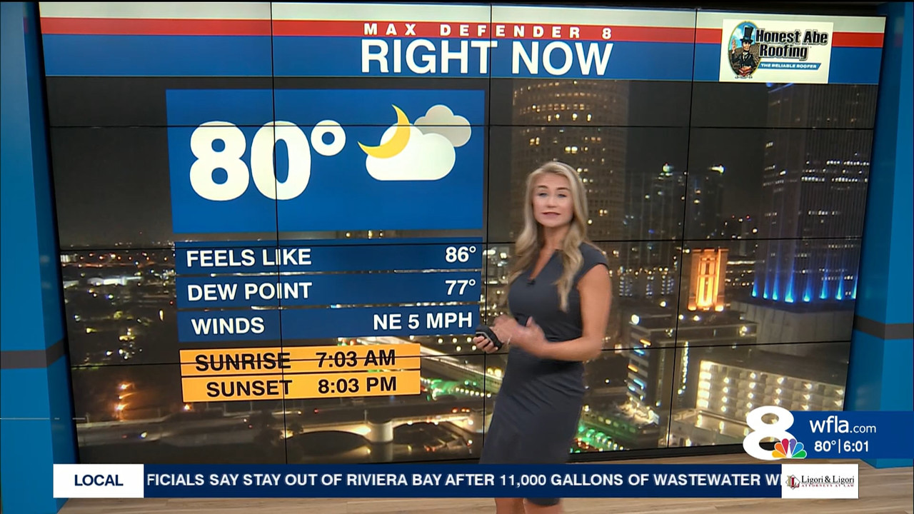 News Channel 8 Today at 6a 20230821 11001200 ts snapshot 00 02 24 263 — Postimages