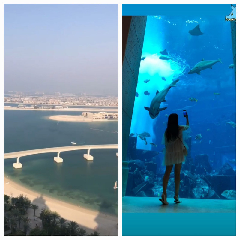 V2 ANQb PDObs — Postimages